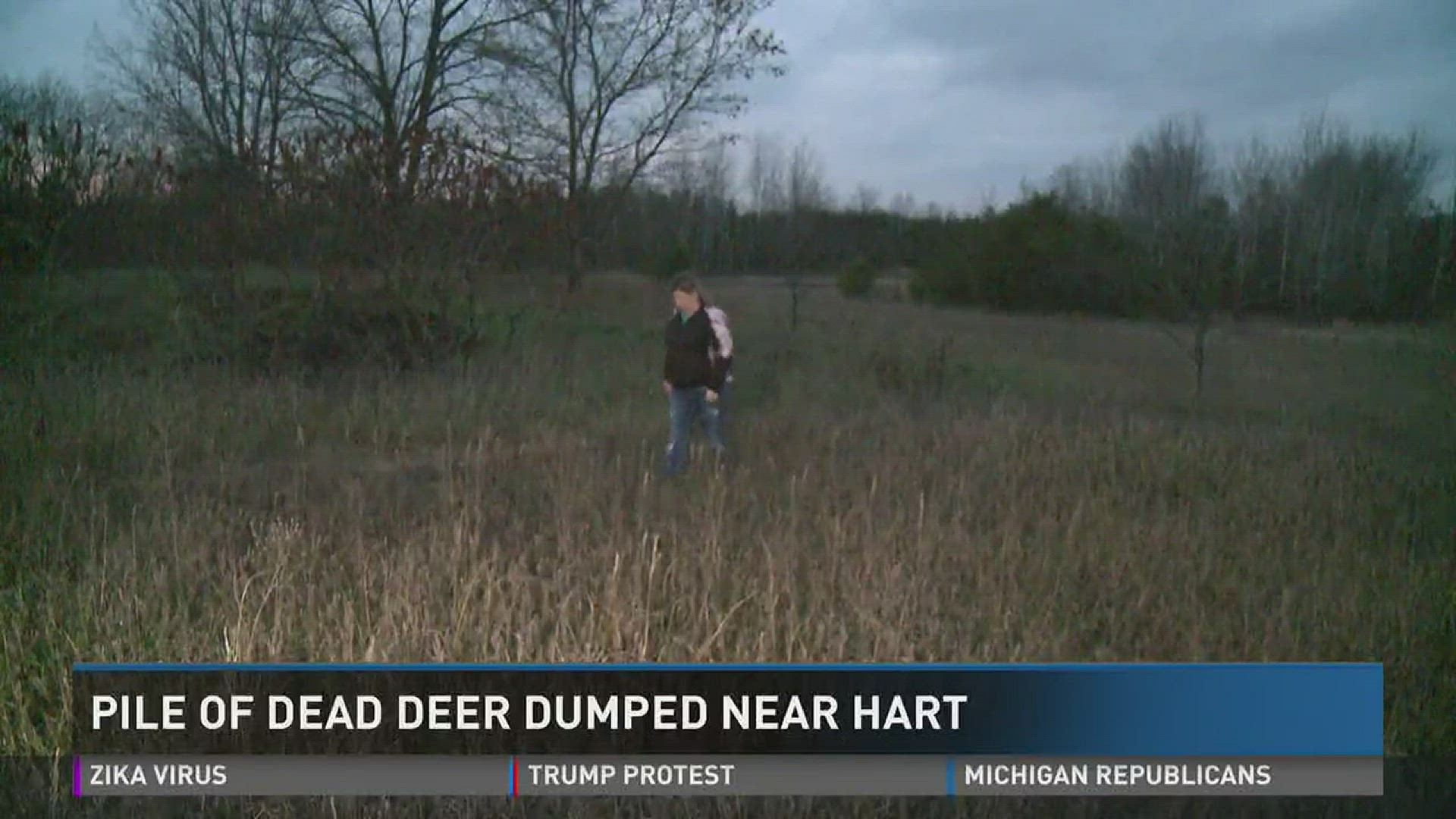 Pile of dead deer carcasses dumped near Michigan home | khou.com